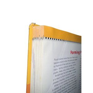 Other | Scholastic First Dictionary | Poshmark